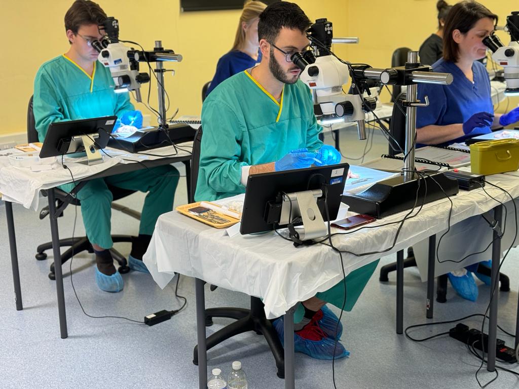 The Grifﬁn Institute - Improving and Extending Patients' Lives